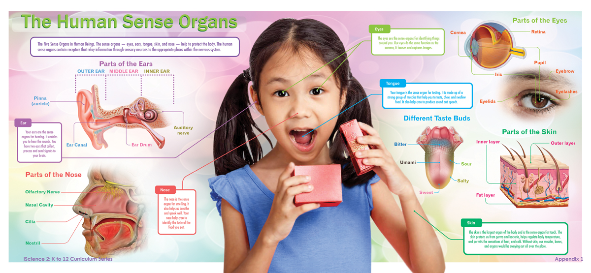 iScience : K-12 Curriculum